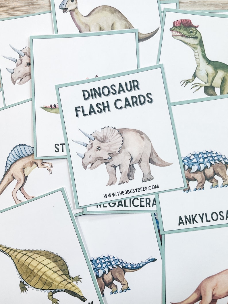 Dinosaur Flash Cards // Watercolor Flash Cards - Etsy