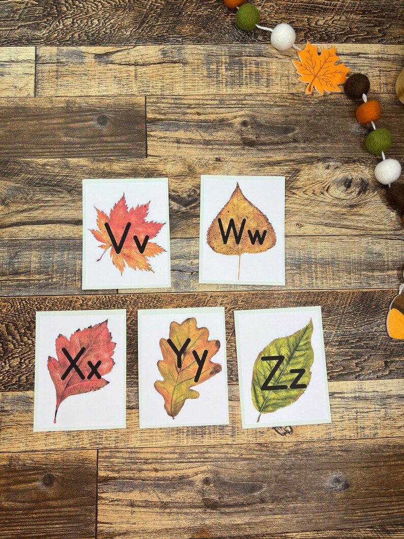 Fall Leaves ABC Flash Cards / Fall Halloween Learning - Etsy