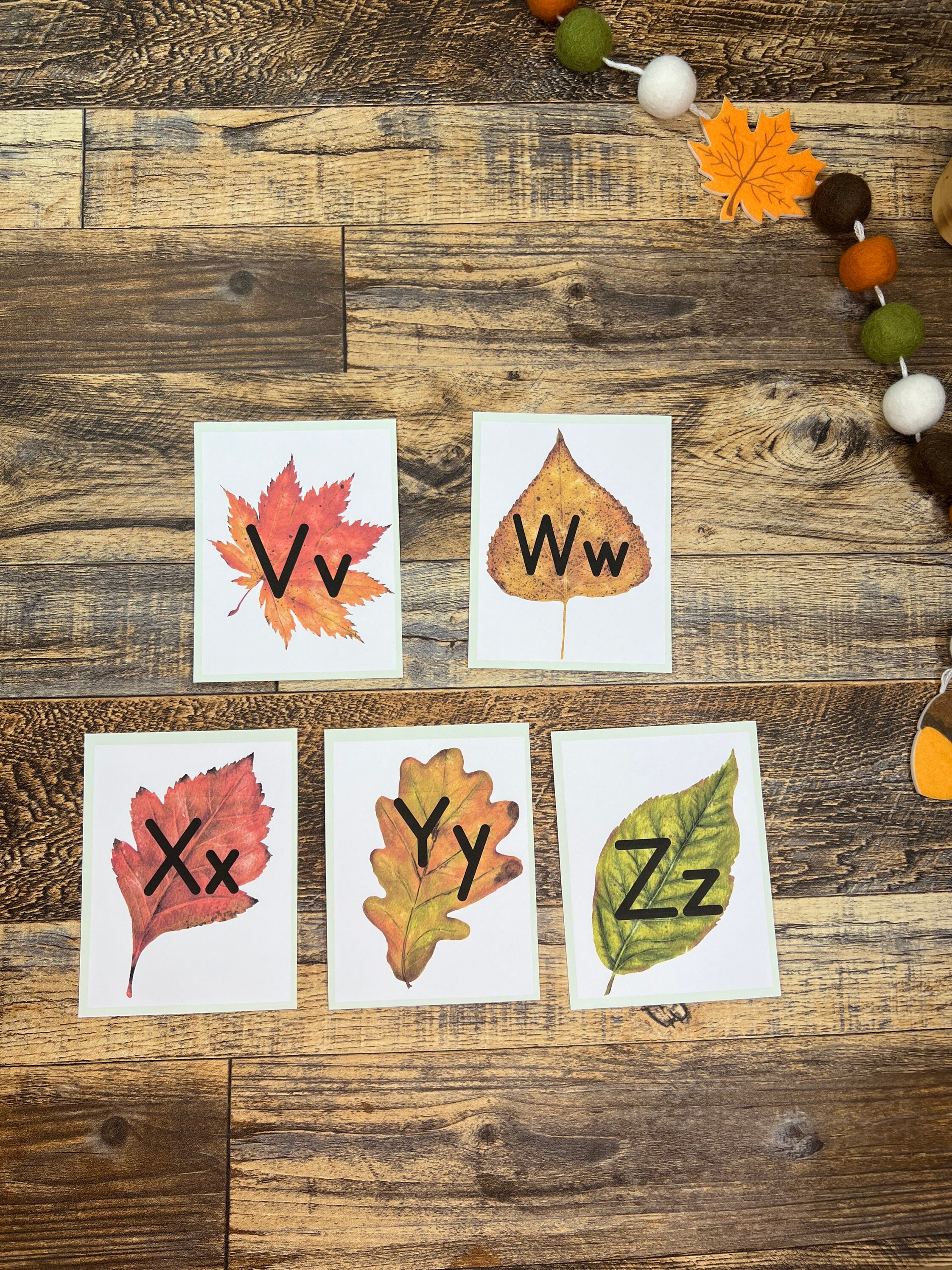 Fall Leaves ABC Flash Cards / Fall Halloween Learning - Etsy