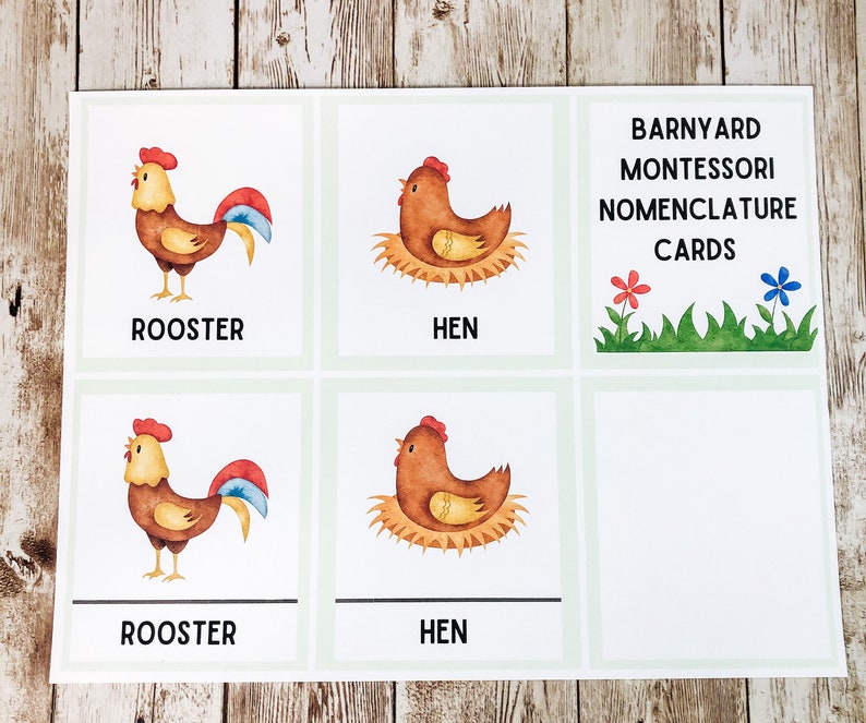 Barnyard Nomenclature Cards Preschool Printable 3 Part - Etsy