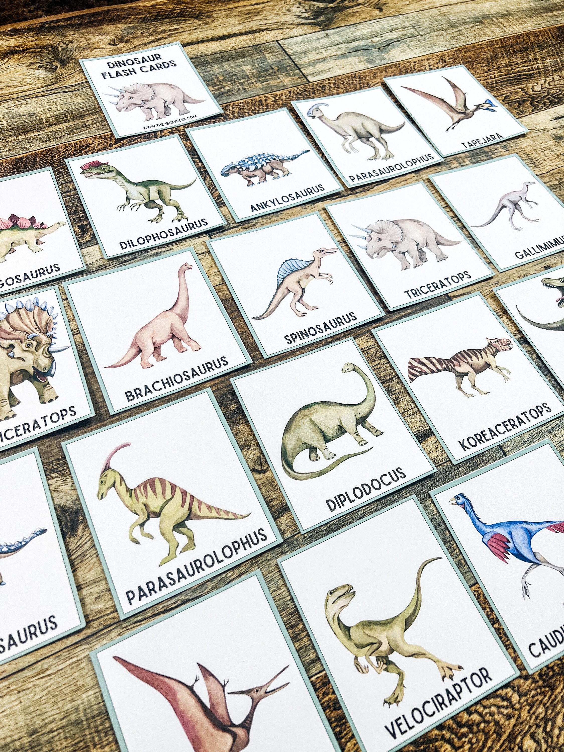 Dinosaur Flash Cards // Watercolor Flash Cards - Etsy
