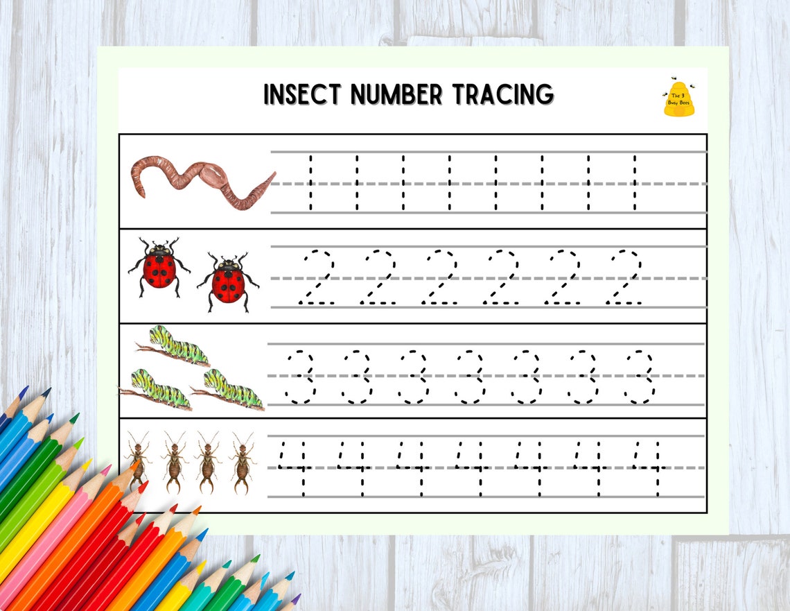 Insect Number Tracing Worksheet Insect Learning Mini - Etsy
