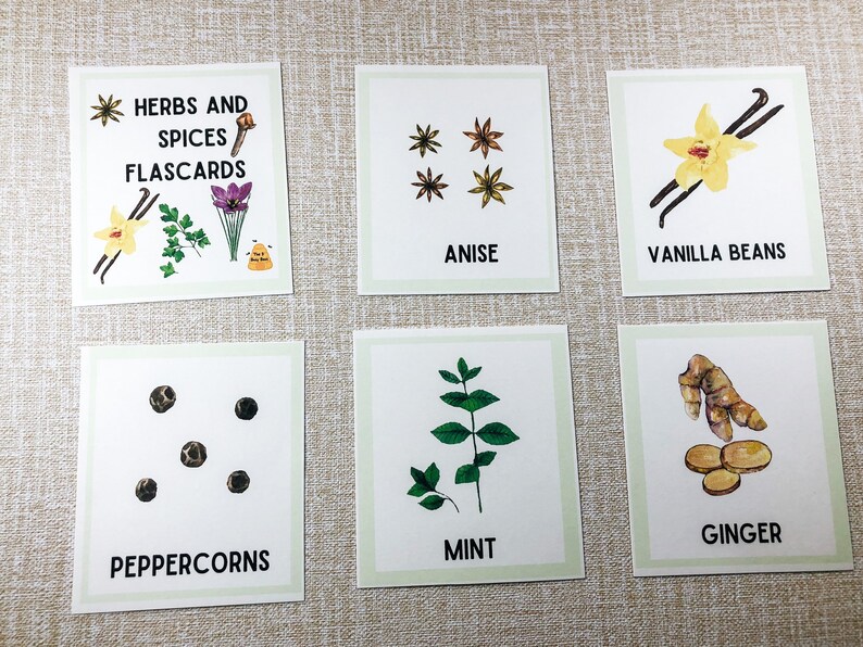 Herbs and Spices Flash Cards Printable • Preschool Printable • Crunchy ...