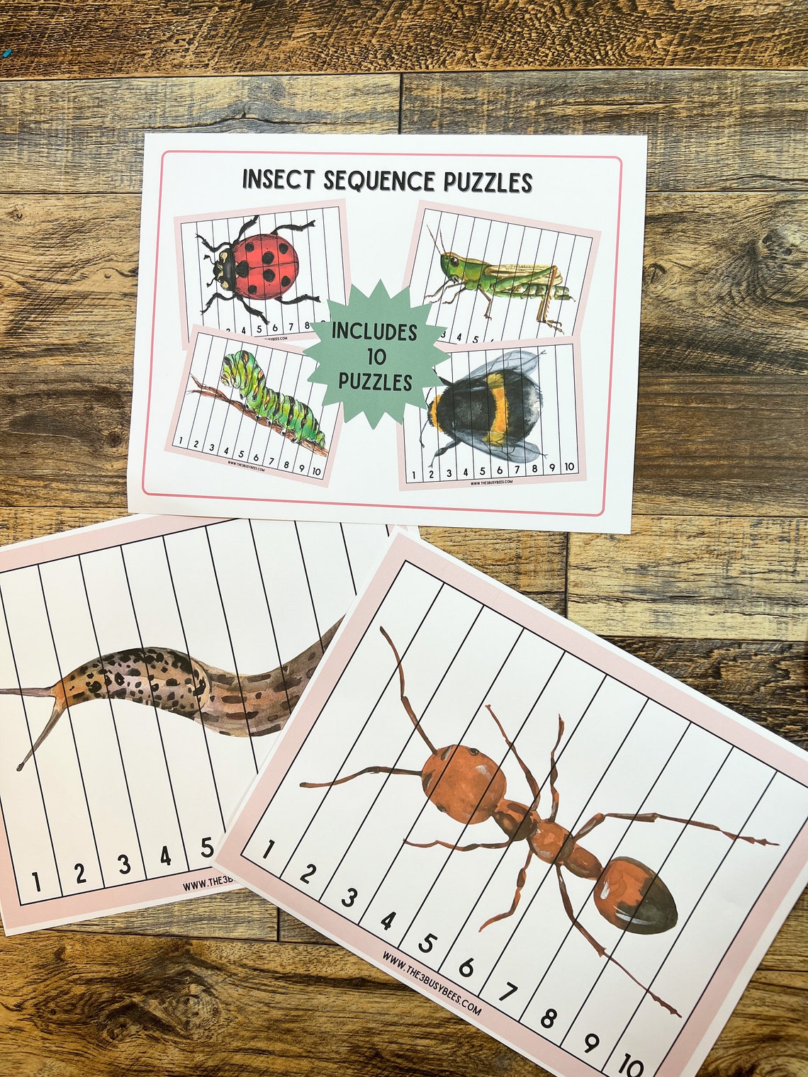 Insect Number Sequencing Puzzles Insect Learning Mini Beasts Printable ...