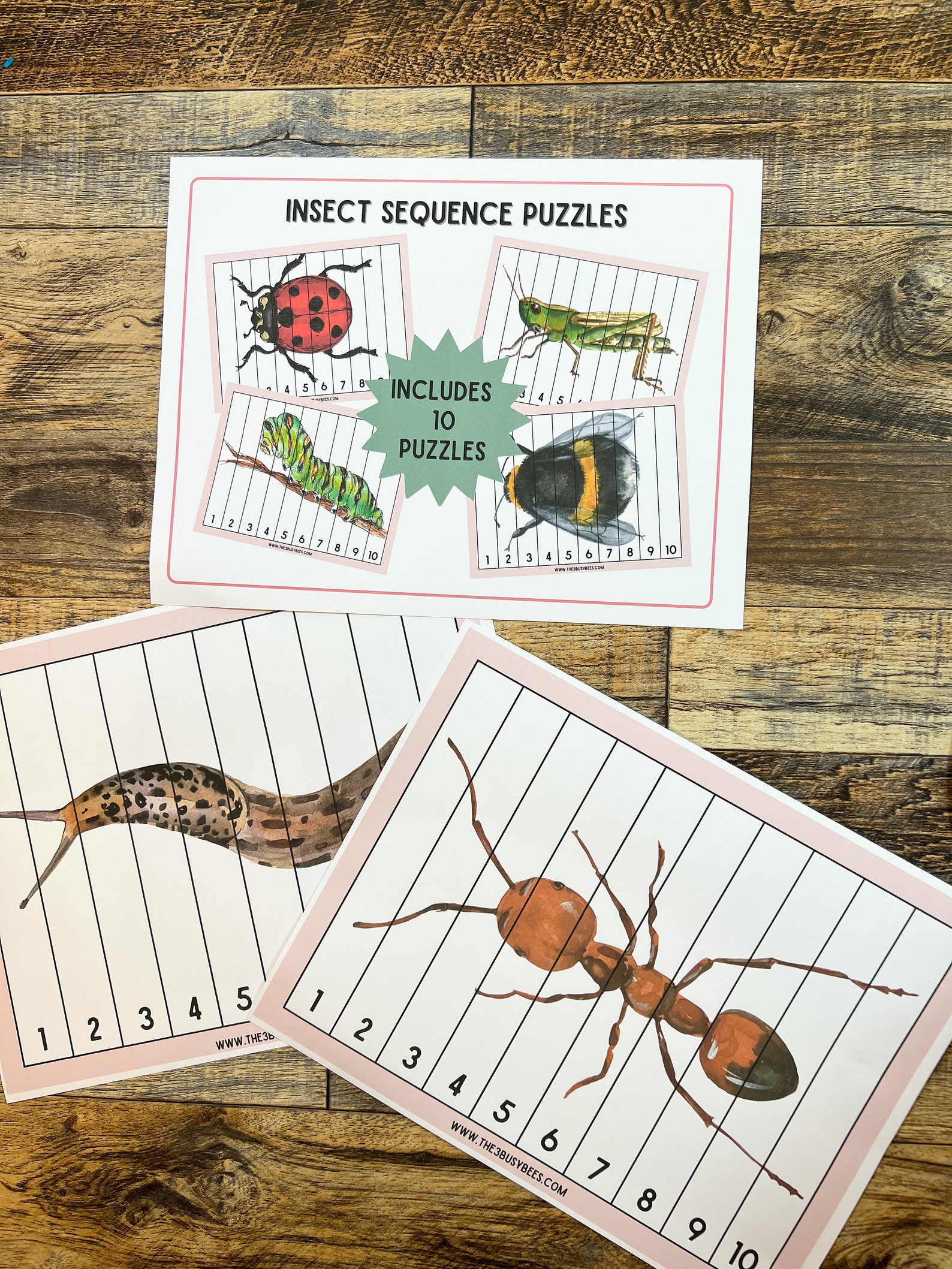 Insect Number Sequencing Puzzles • Insect Learning • Mini Beasts ...