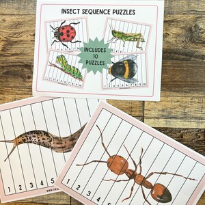 Insect Number Sequencing Puzzles • Insect Learning • Mini Beasts ...