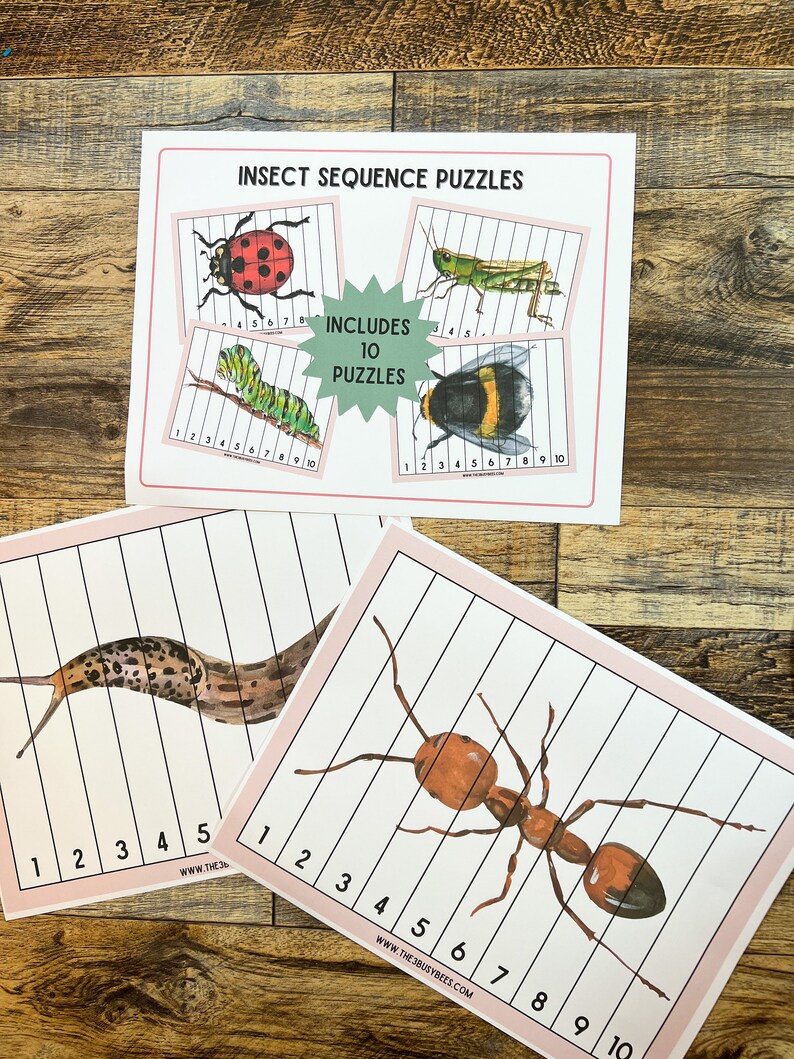 Insect Number Sequencing Puzzles • Insect Learning • Mini Beasts ...