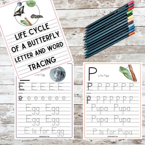 Life Cycle of a Butterfly Letter and Word Tracing • Montessori ...