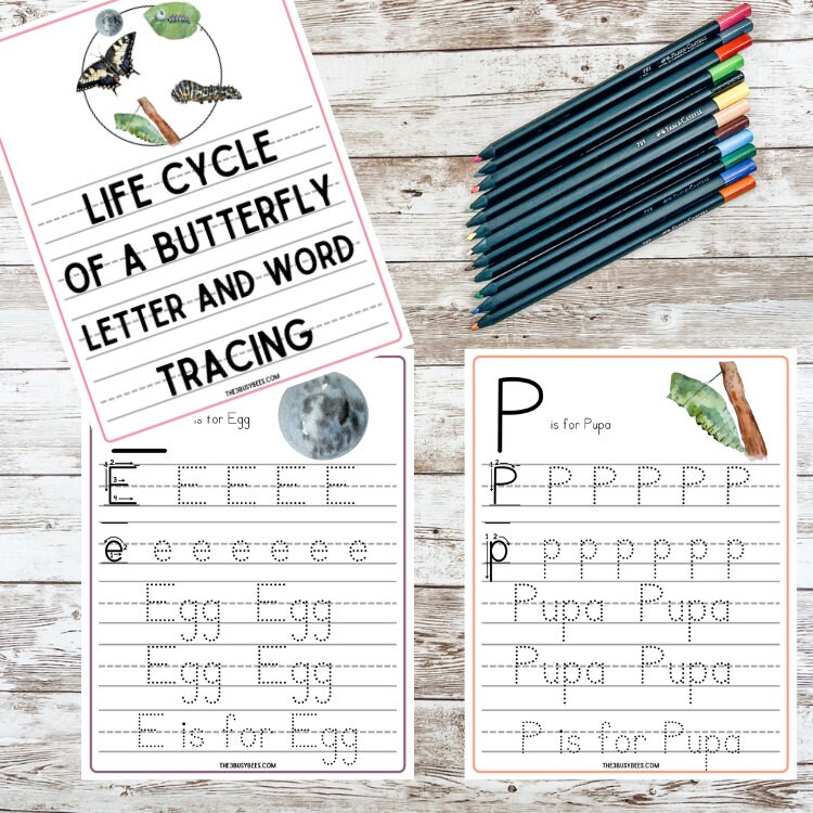 Life Cycle of a Butterfly Letter and Word Tracing • Montessori ...