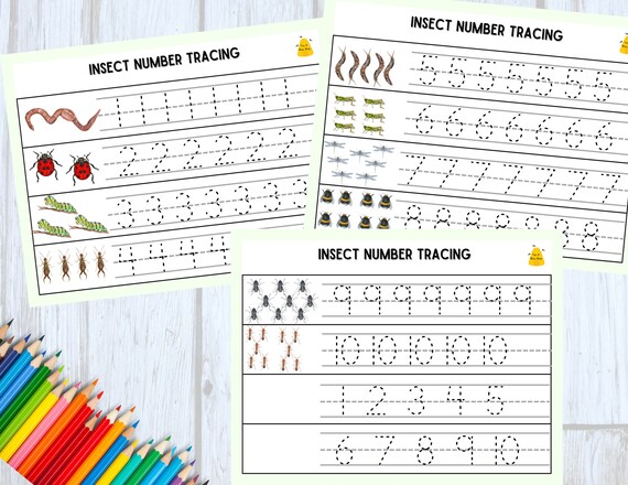 Insect Number Tracing Worksheet Insect Learning Mini - Etsy