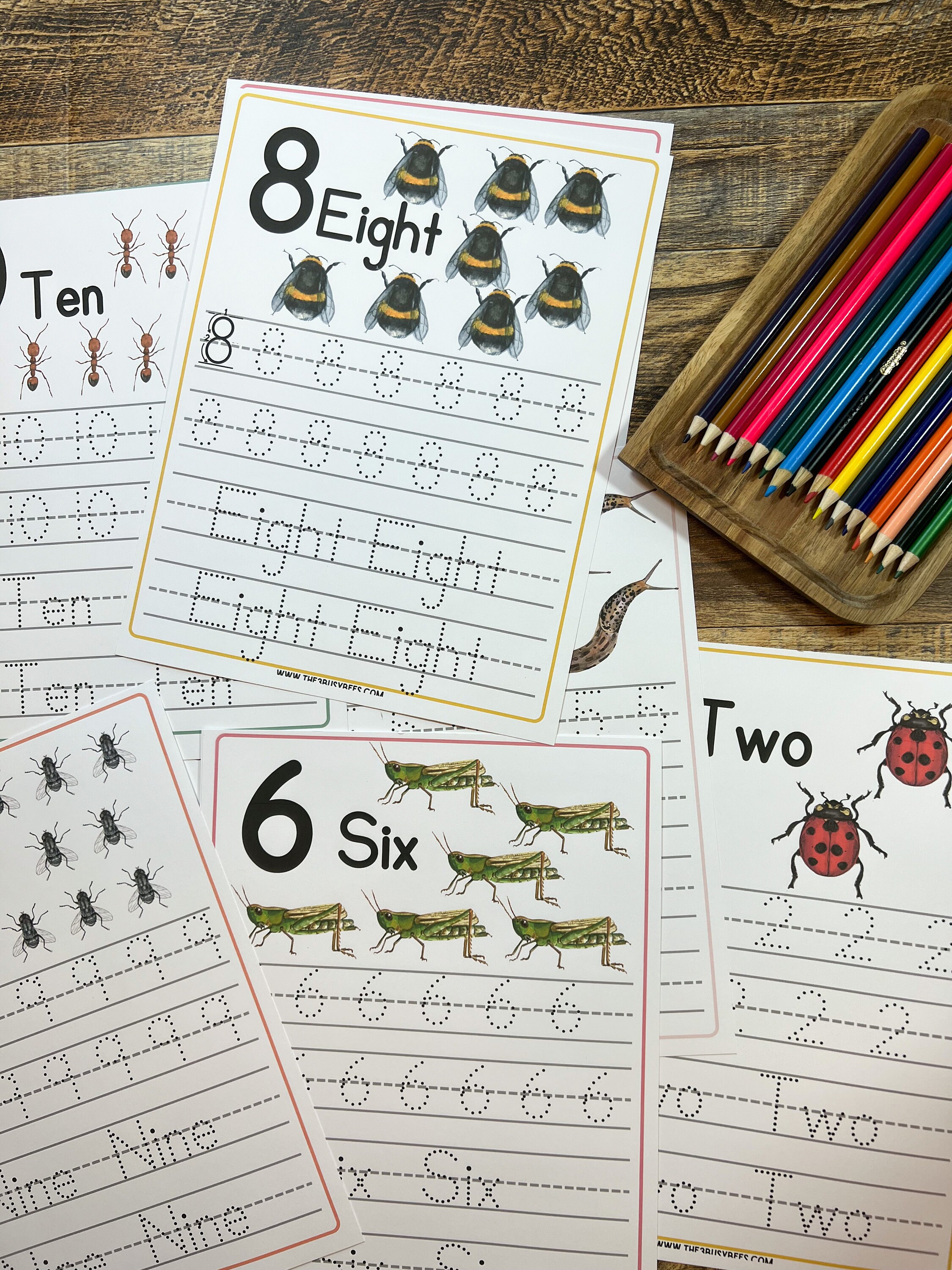 Insect Number Tracing Worksheet Insect Learning Mini Beasts Printable ...