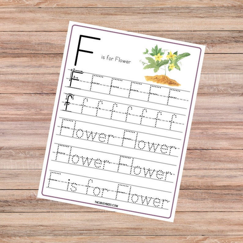 Life Cycle of a Pumpkin Letter and Word Tracing Worksheets / Fall ...