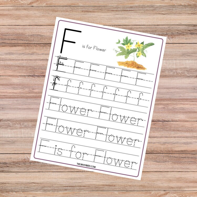 Hoja De Trabajo Sobre El Ciclo De Vida De Una Calabaza El Zapallo De