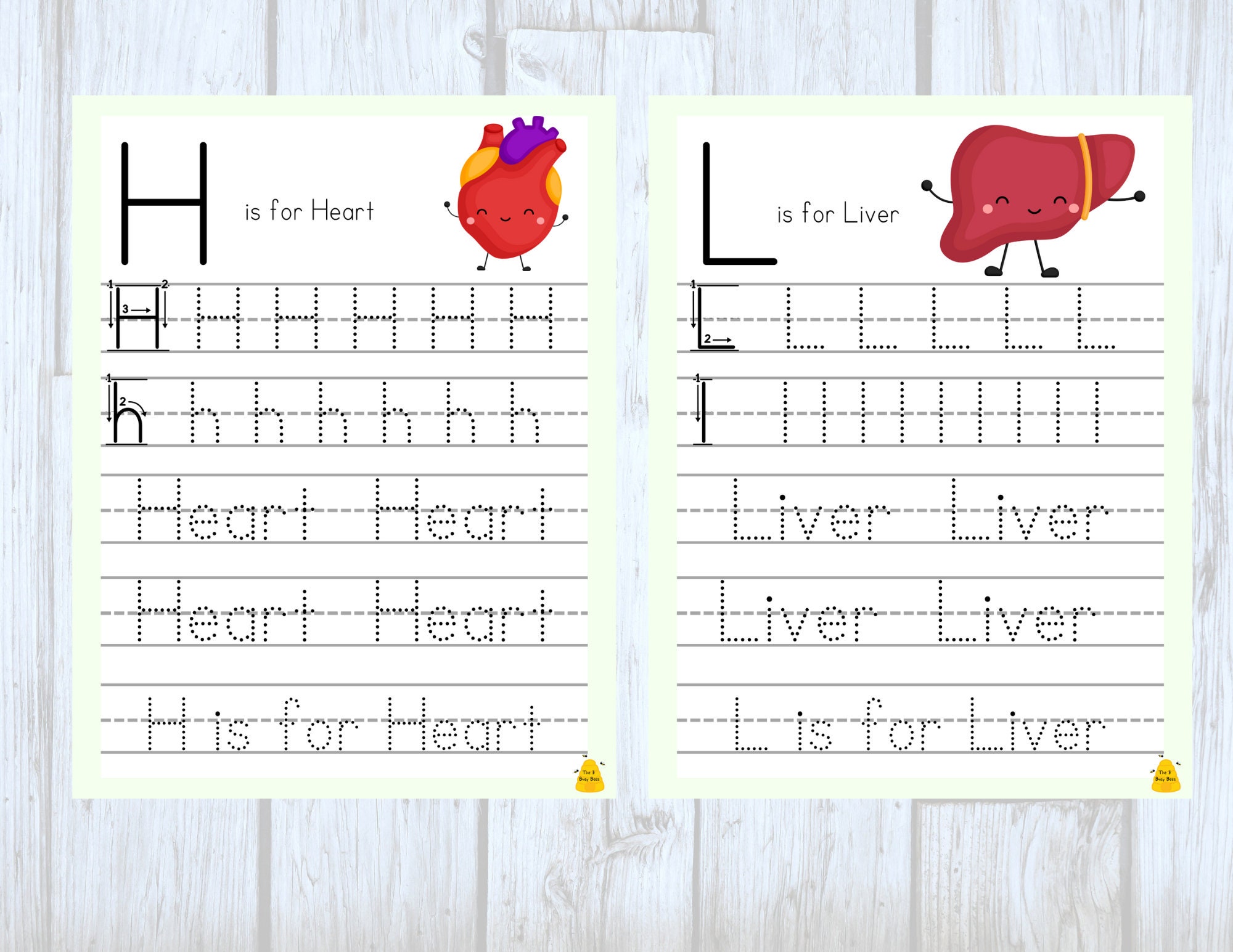 Human Anatomy Letter and Word Tracing Worksheet • Preschool Printable ...