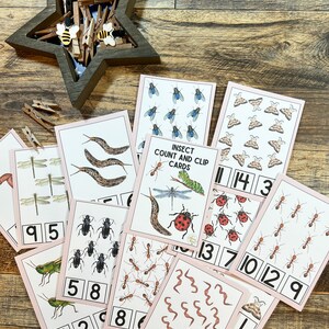 Insect Count and Clip Printable • Clothespin Match Activity - Etsy
