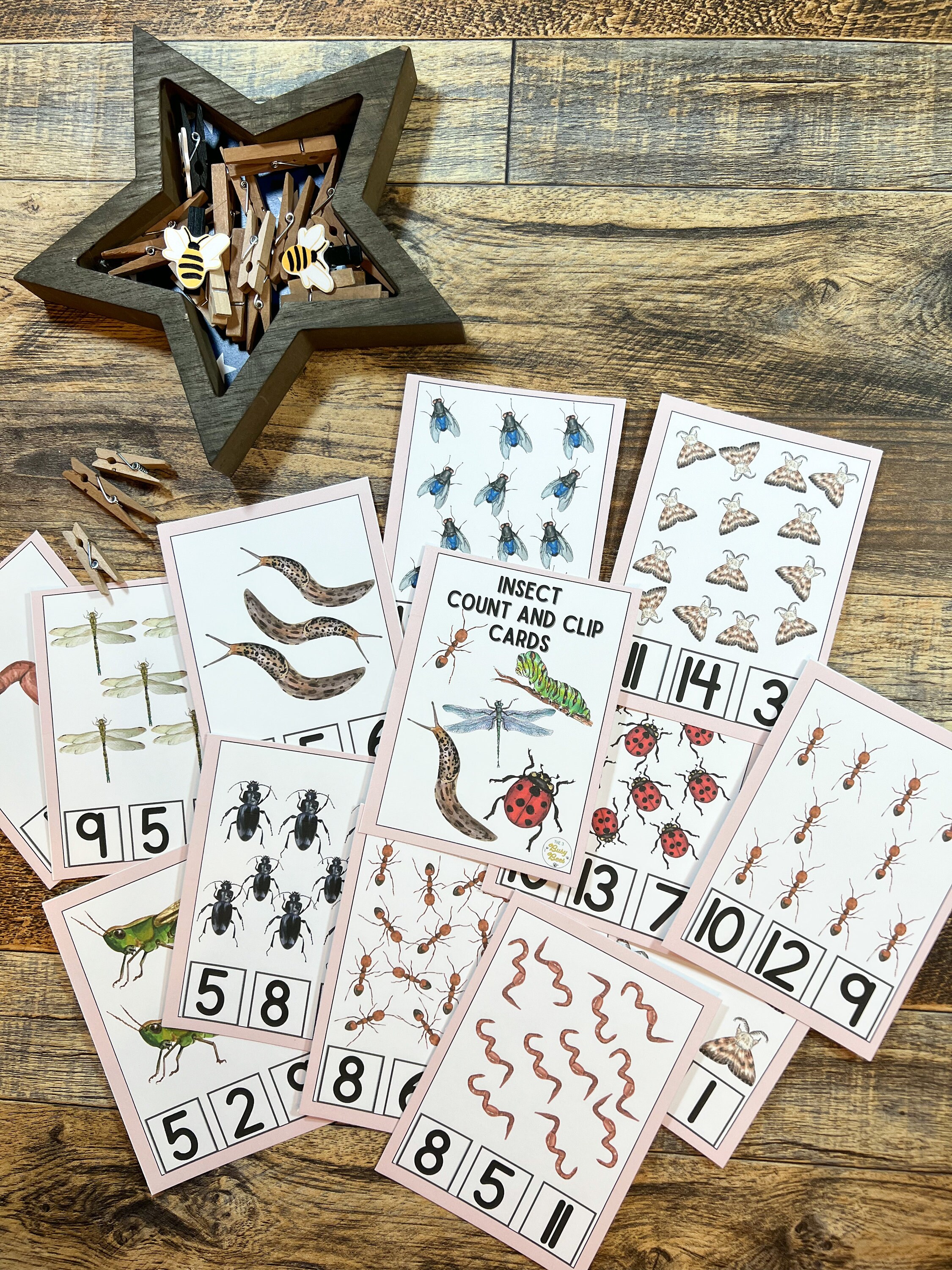 Insect Count and Clip Printable • Clothespin Match Activity - Etsy