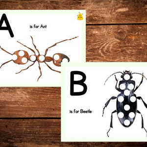 Insect Dot Marker Sheets Montessori Printable Do-a-dots | Etsy