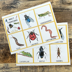 Insect Flash Cards • Montessori Printable • Educational Material • - Etsy