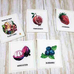Tropical Fruit Flash Cards • Montessori Printable • Educational ...