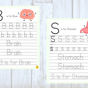 Human Anatomy Letter and Word Tracing Worksheet • Preschool Printable ...