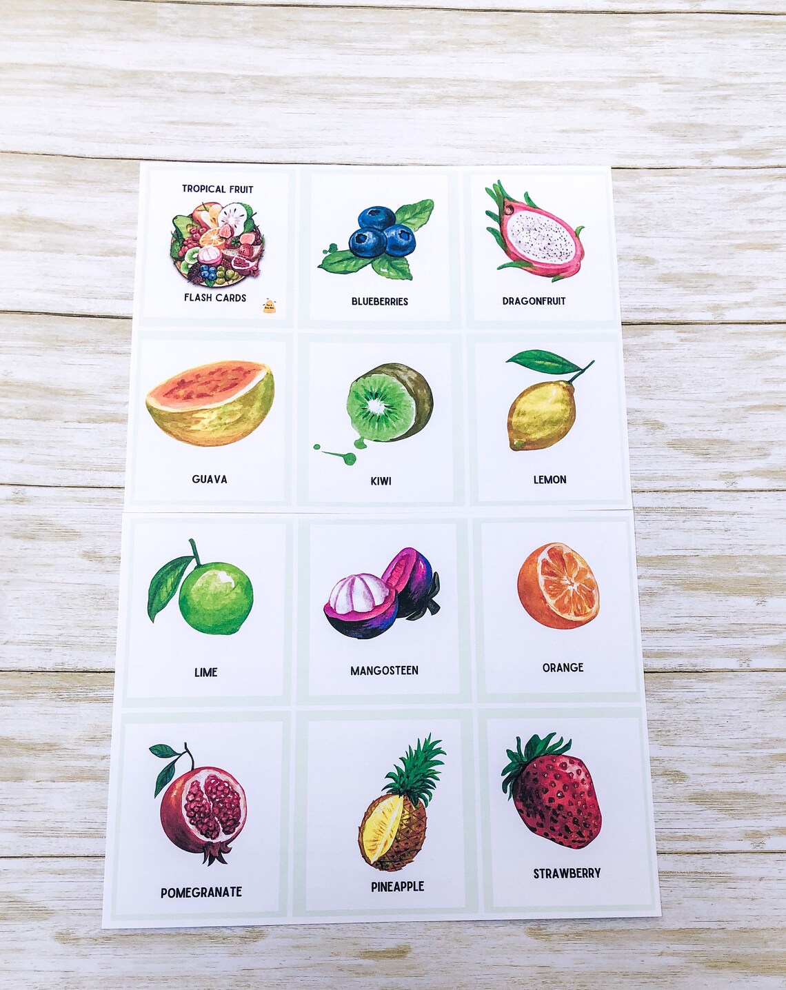 Tropical Fruit Flash Cards Montessori Printable - Etsy