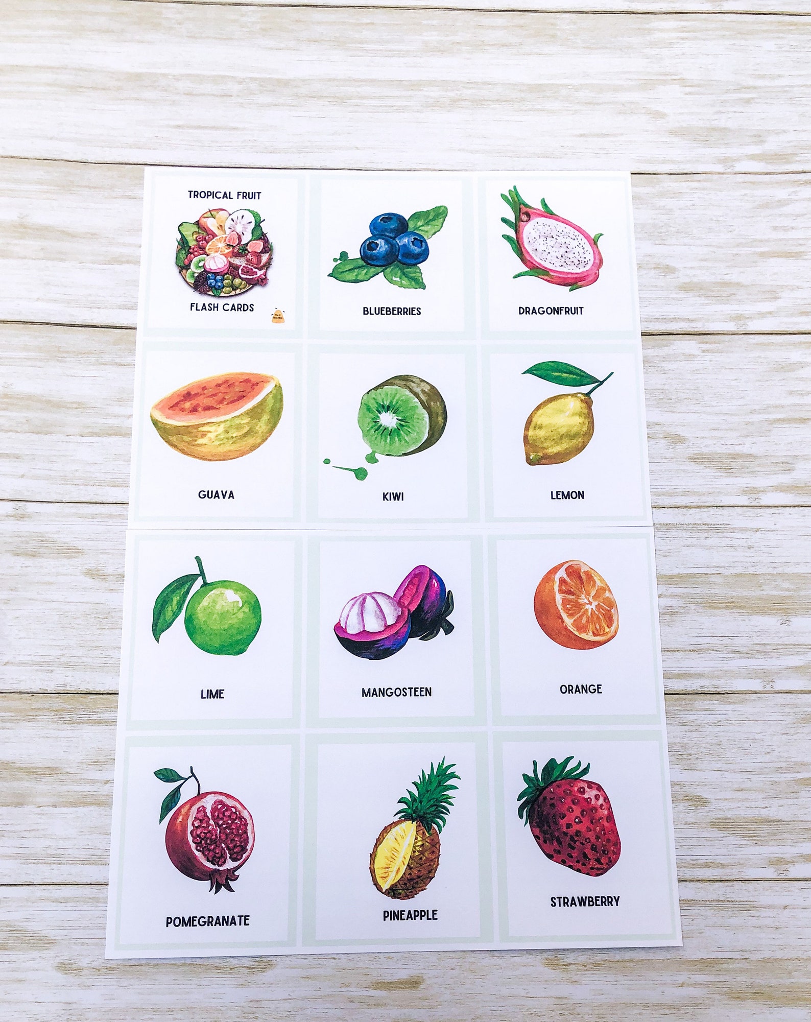 Tropical Fruit Flash Cards Montessori Printable - Etsy