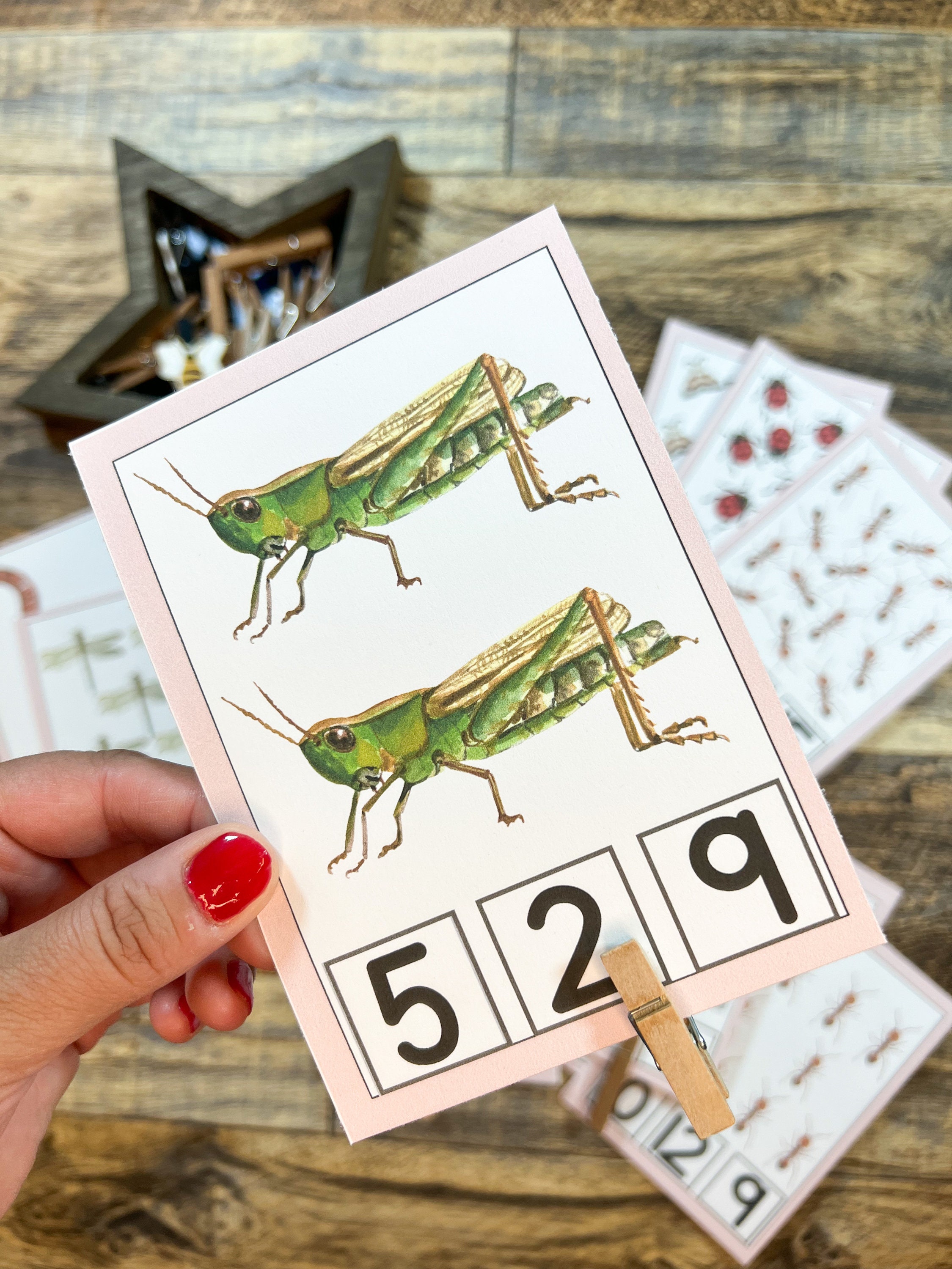 Insect Count and Clip Printable • Clothespin Match Activity - Etsy