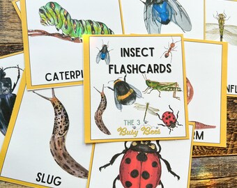 The3BusyBeesCo - Etsy