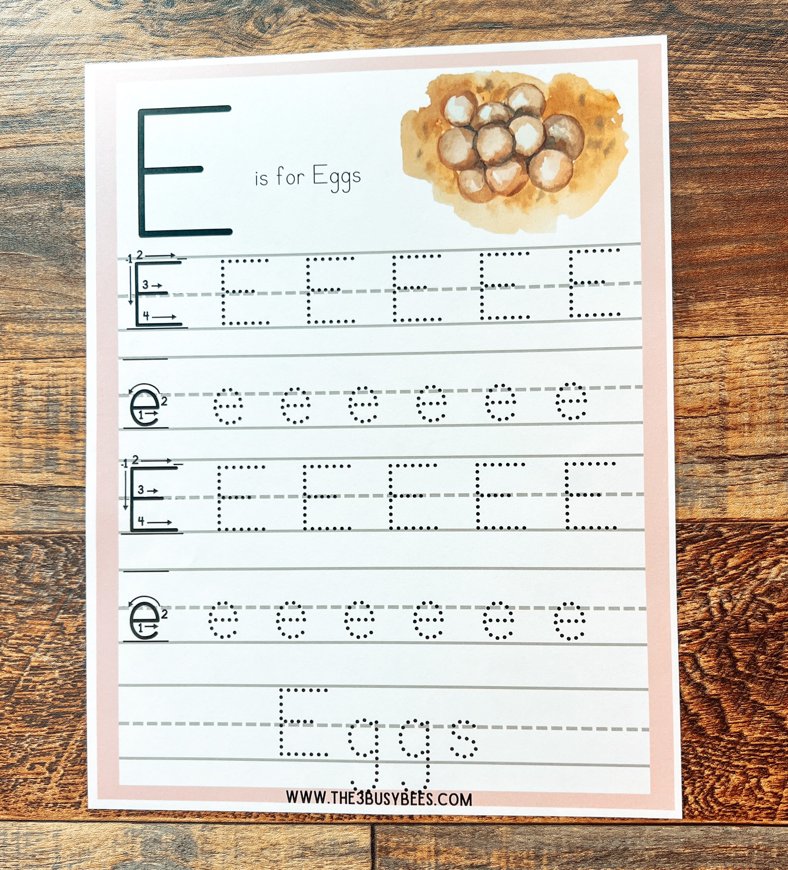 Life Cycle of a Sea Turtle Letter and Word Tracing / Handwriting ...