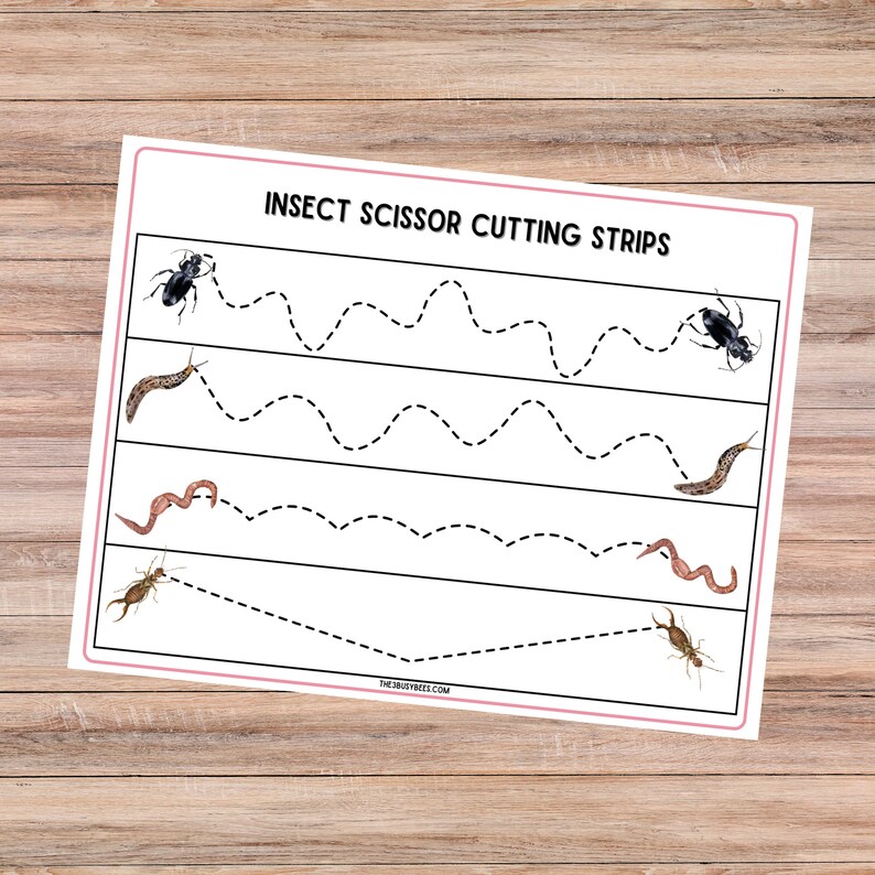 Insect Scissor Cutting Strips Preschool Scissor Practice Mini Beasts ...