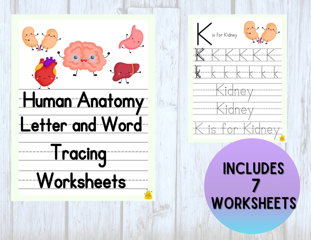 Human Anatomy Letter and Word Tracing Worksheet • Preschool Printable ...