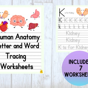Human Anatomy Letter and Word Tracing Worksheet • Preschool Printable ...