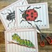Insect Number Sequencing Puzzles • Insect Learning • Mini Beasts ...