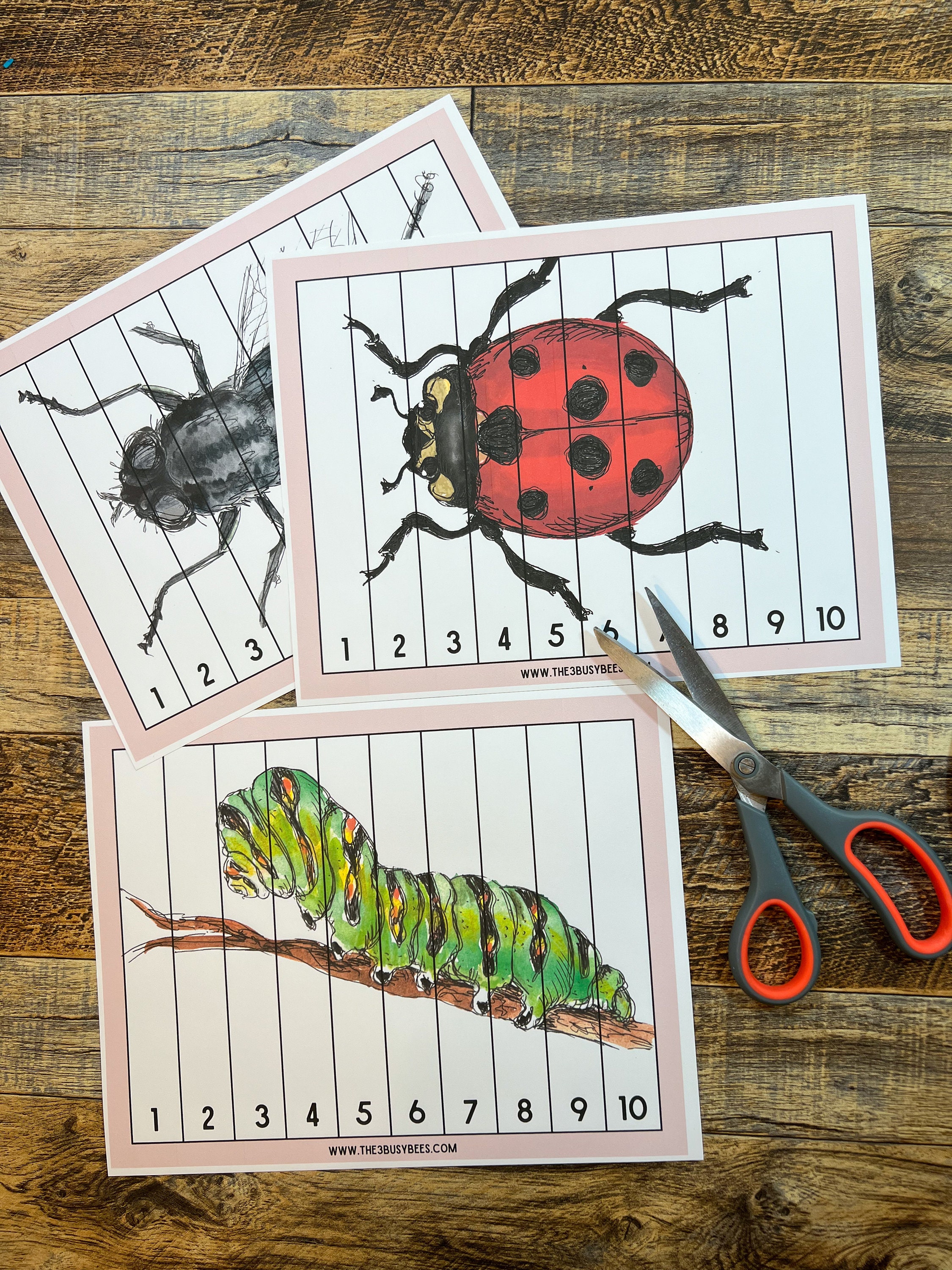 Insect Number Sequencing Puzzles Insect Learning Mini Beasts Printable ...