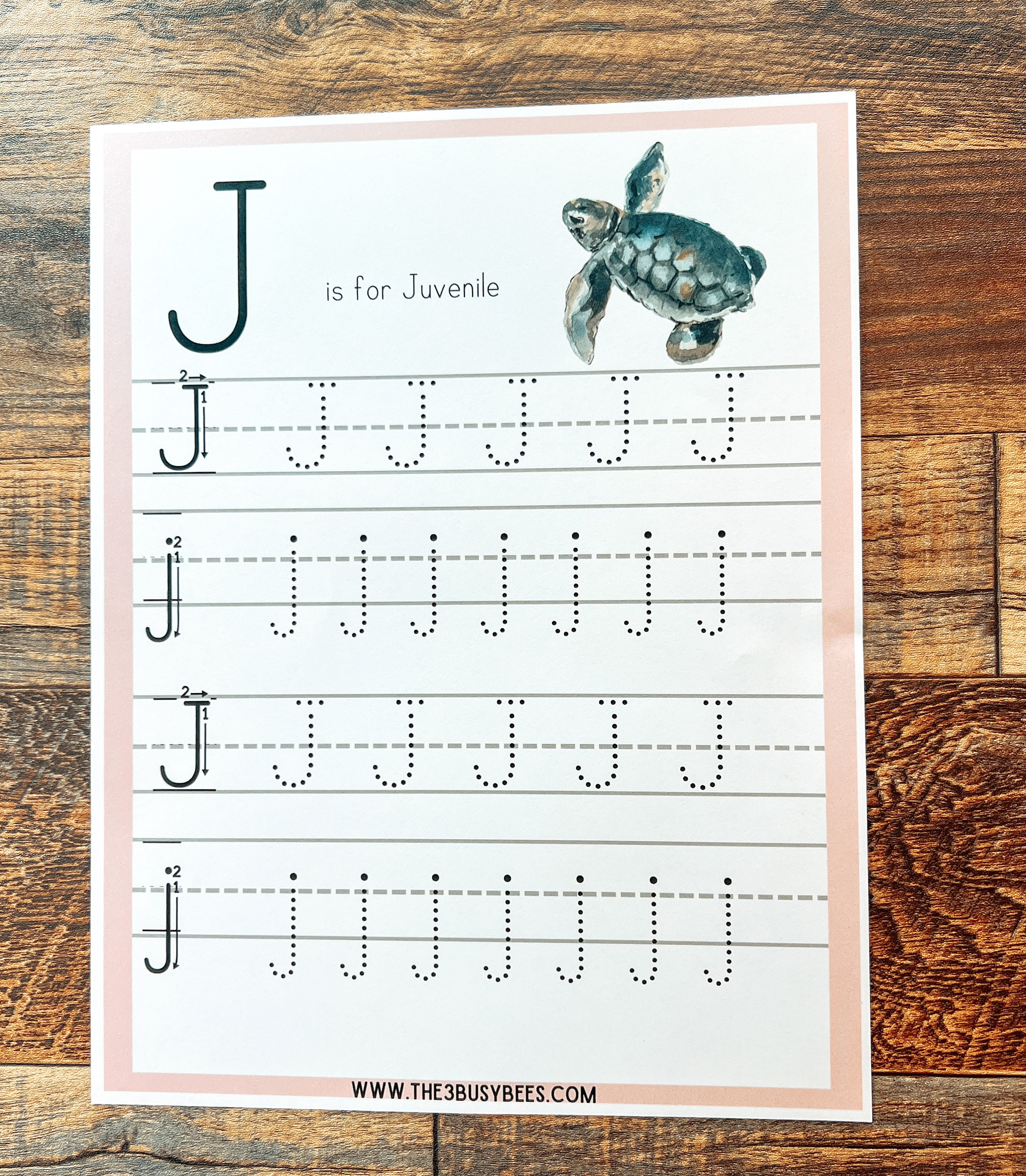 Life Cycle of a Sea Turtle Letter and Word Tracing / Handwriting ...