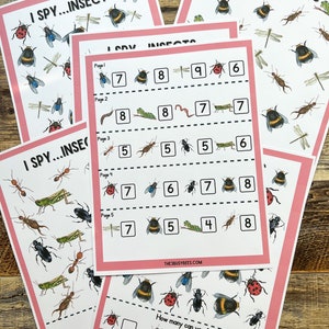 Insect I Spy Printable • Insect Learning • Mini Beasts Printable • Busy ...