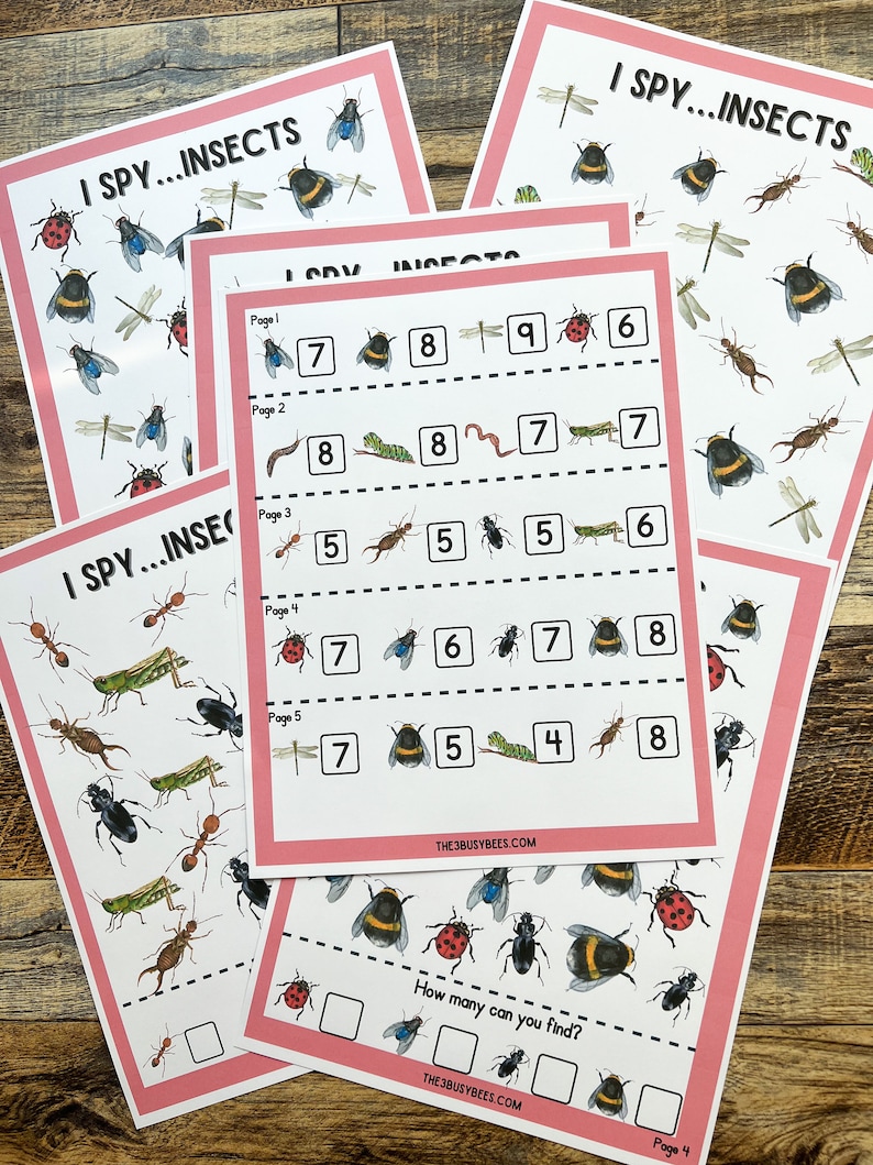 Insect I Spy Printable Insect Learning Mini Beasts - Etsy