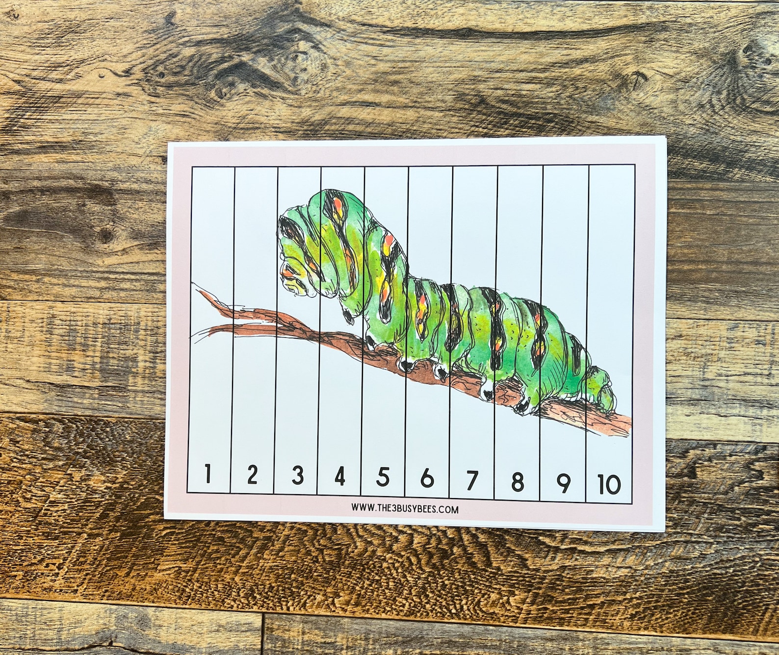 Insect Number Sequencing Puzzles • Insect Learning • Mini Beasts ...