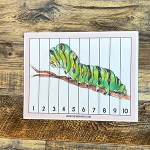 Insect Number Sequencing Puzzles • Insect Learning • Mini Beasts ...