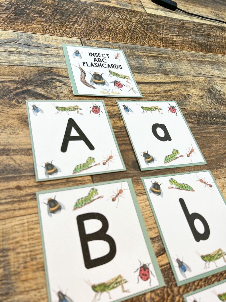 Insect ABC Flash Cards // Insect Bundle // Letter Learning - Etsy