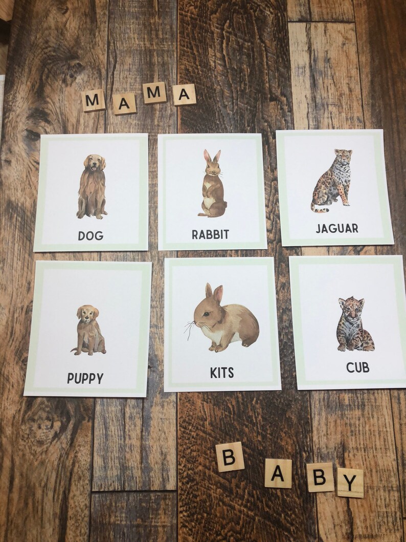 Mama and Baby Animal Flash Cards Montessori Printable Educational ...