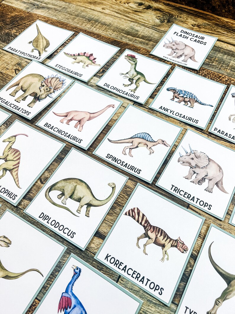 Dinosaur Flash Cards // Watercolor Flash Cards - Etsy