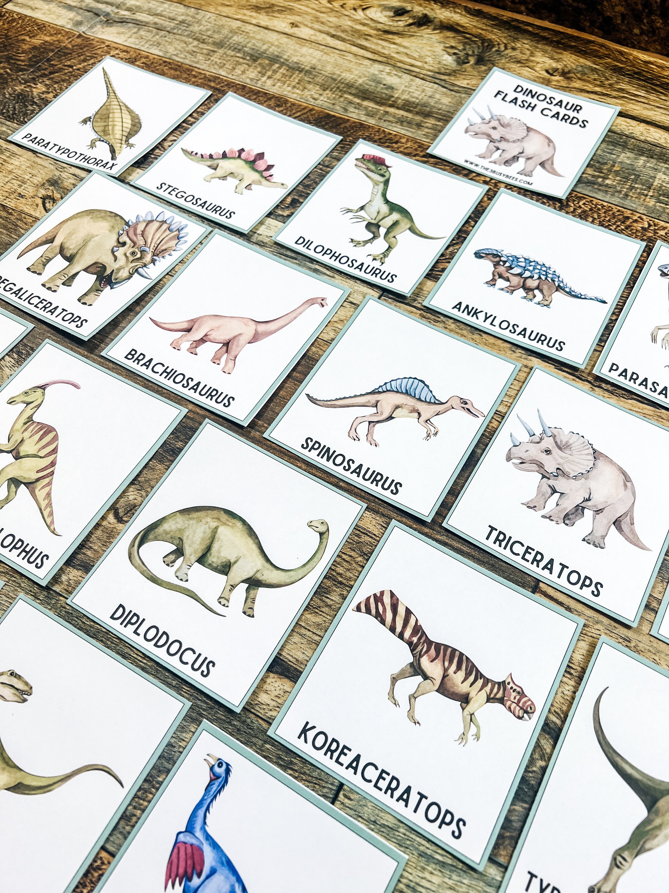 Dinosaur Flash Cards // Watercolor Flash Cards - Etsy