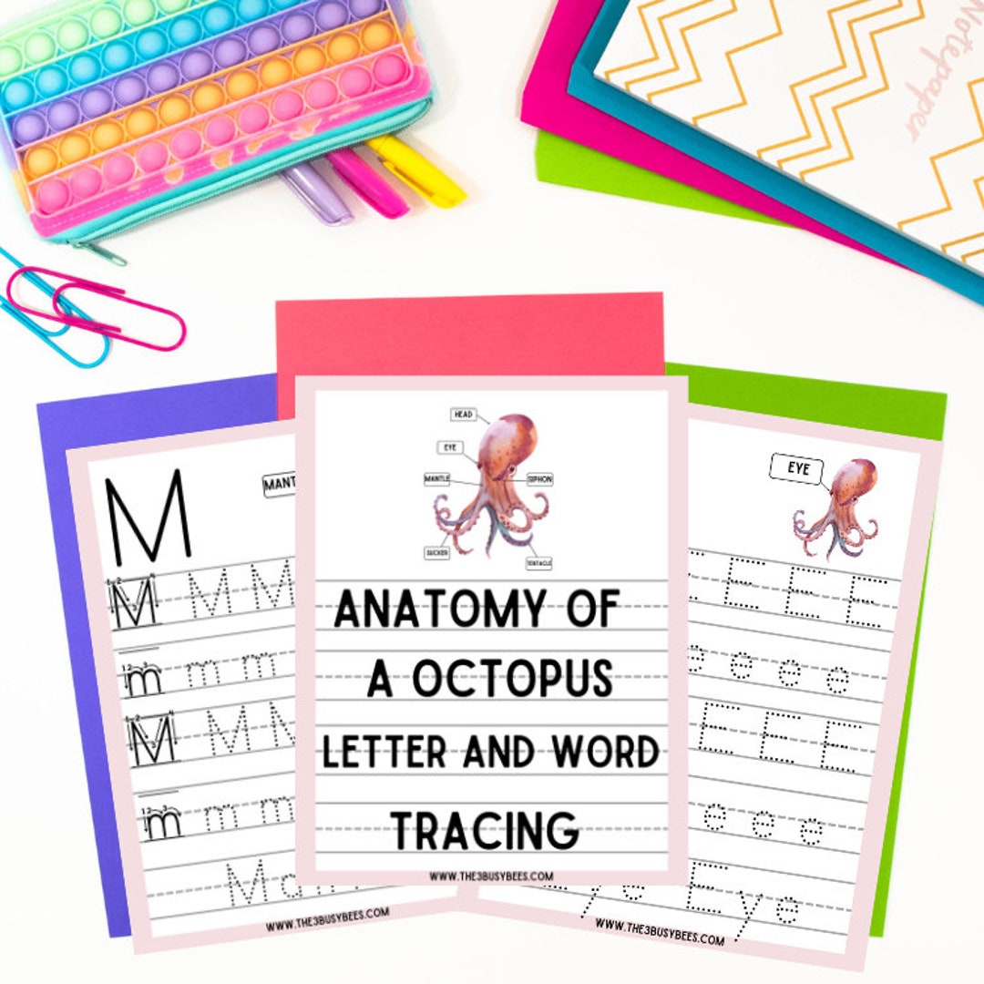Anatomy of a Octopus Letter and Word Tracing - Etsy