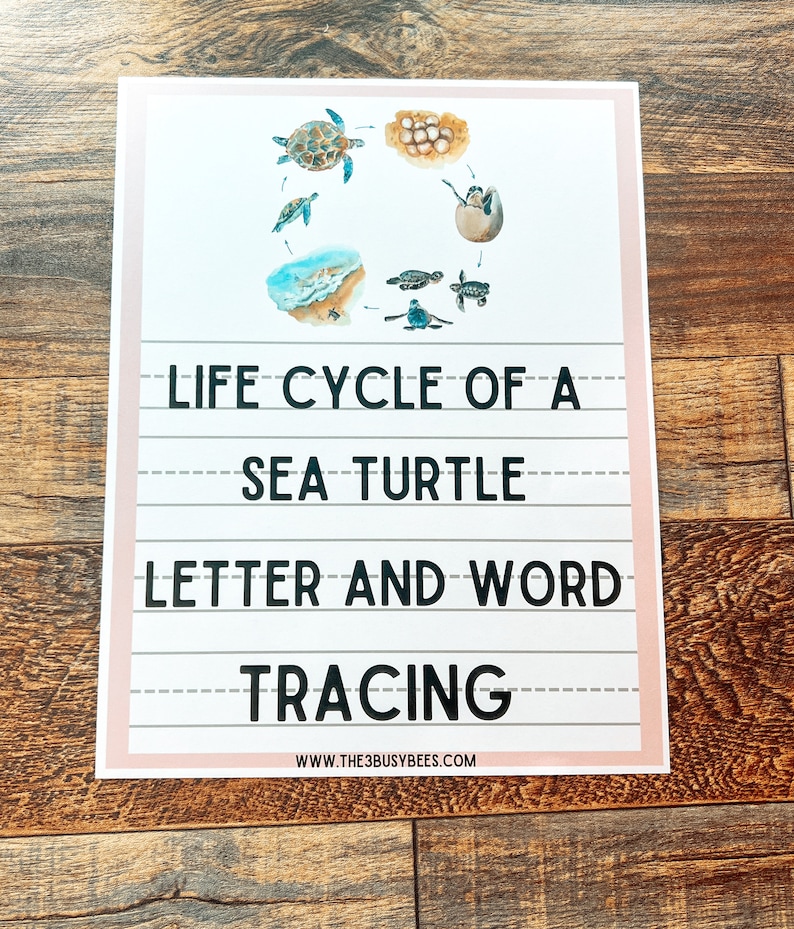 Life Cycle of a Sea Turtle Letter and Word Tracing / Handwriting ...
