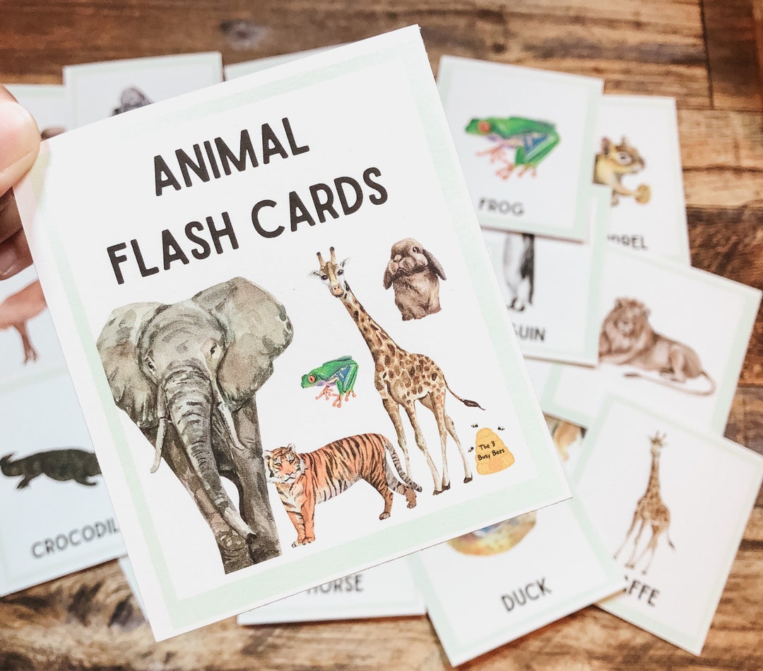 Animal Flash Cards • Montessori Printable • Educational Material • - Etsy