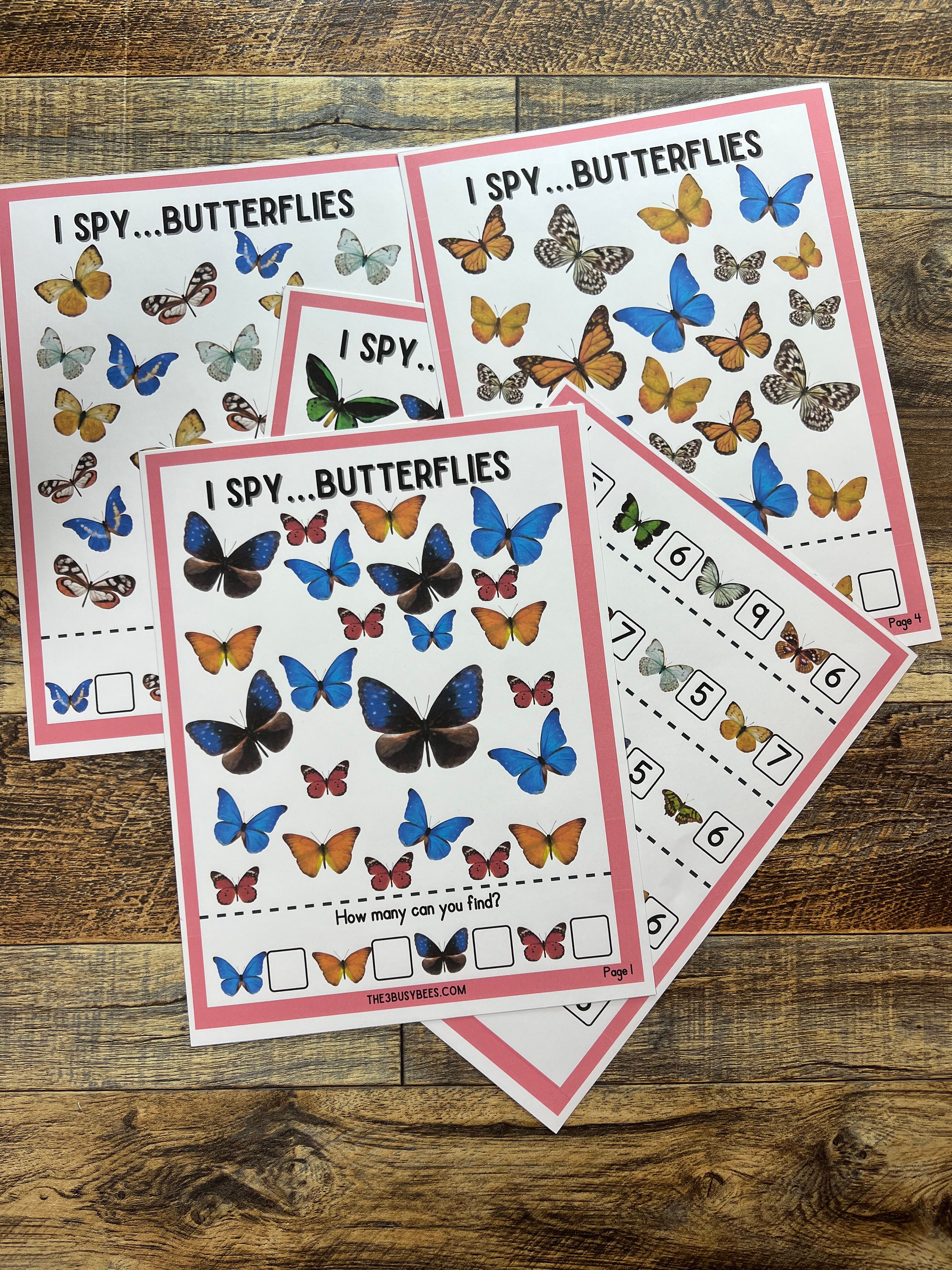 Butterfly I Spy Printable Insect Learning Mini Beasts - Etsy