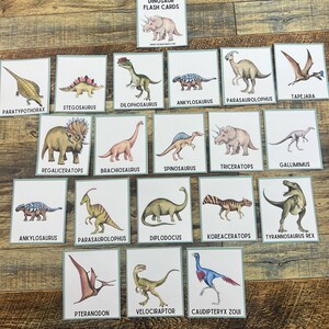 Dinosaur Flash Cards // Watercolor Flash Cards - Etsy