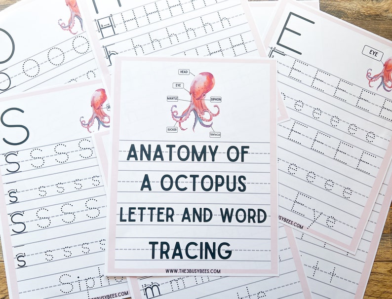 Anatomy of a Octopus Letter and Word Tracing - Etsy