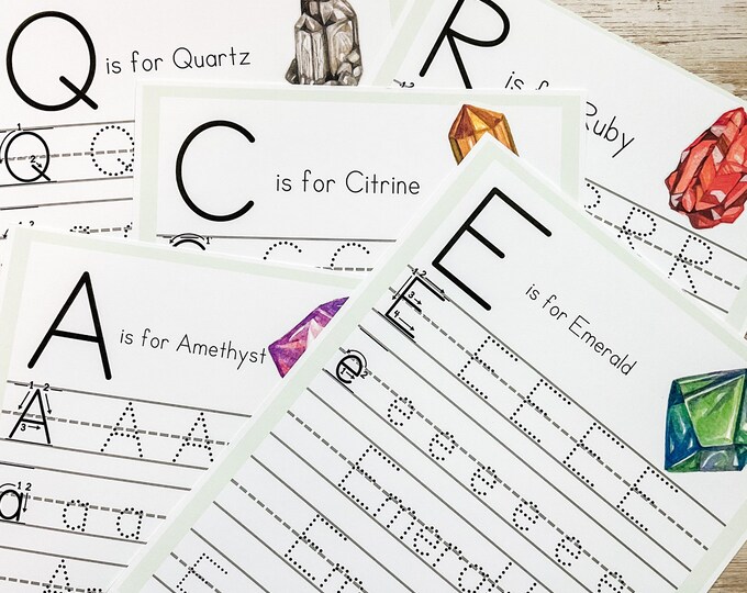 Anatomy of a Butterfly • Montessori Printable • Butterfly Study • Busy ...